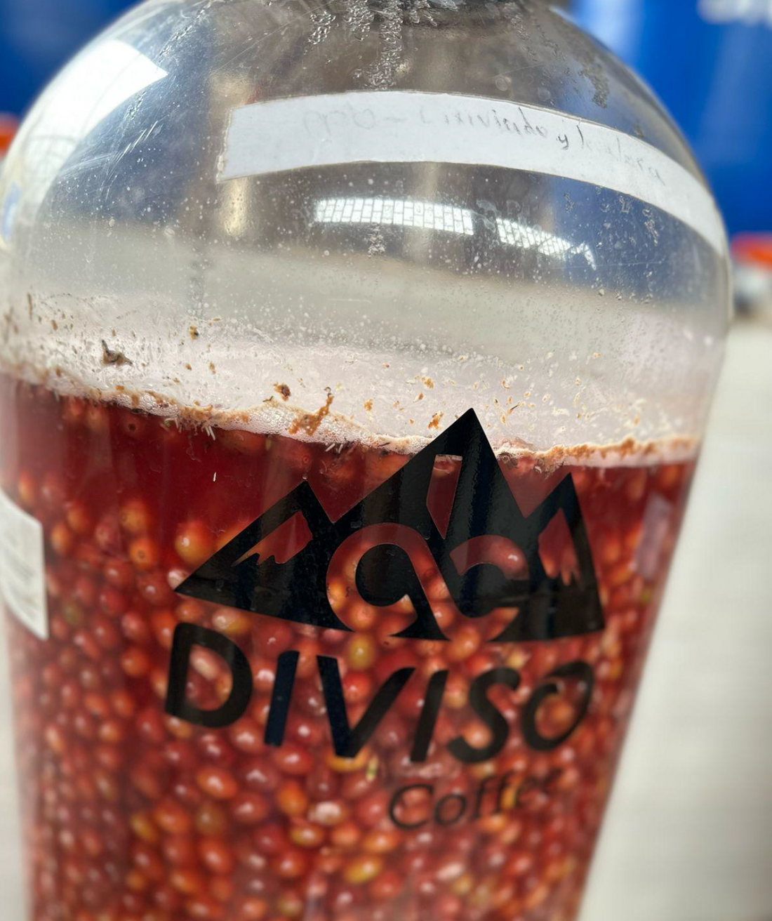 Colombia El Diviso Washed Anaerobic– Passport Specialty Coffee Roaster