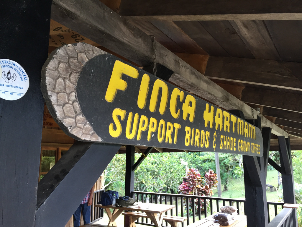 Panama Hartmann Geisha Black Winey– Passport Specialty Coffee Roaster