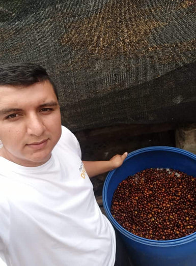 Colombia El Diviso Sidra– Passport Specialty Coffee Roaster