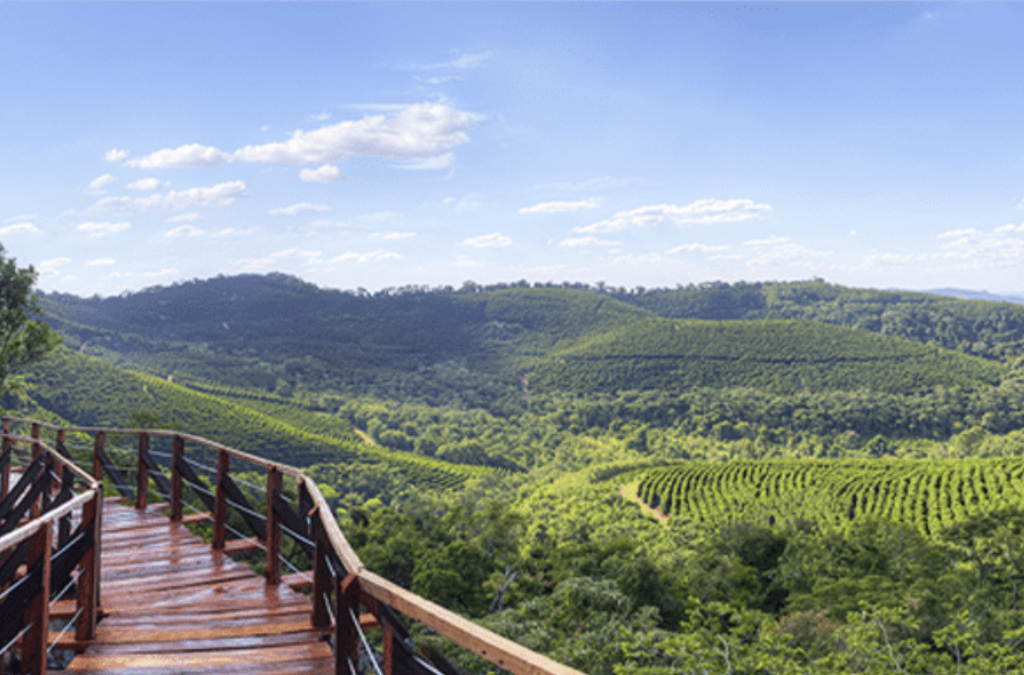 Brazil Rio Verde Lot#C27 Cherry Anaerobic Natural ESPRESSO– Passport ...