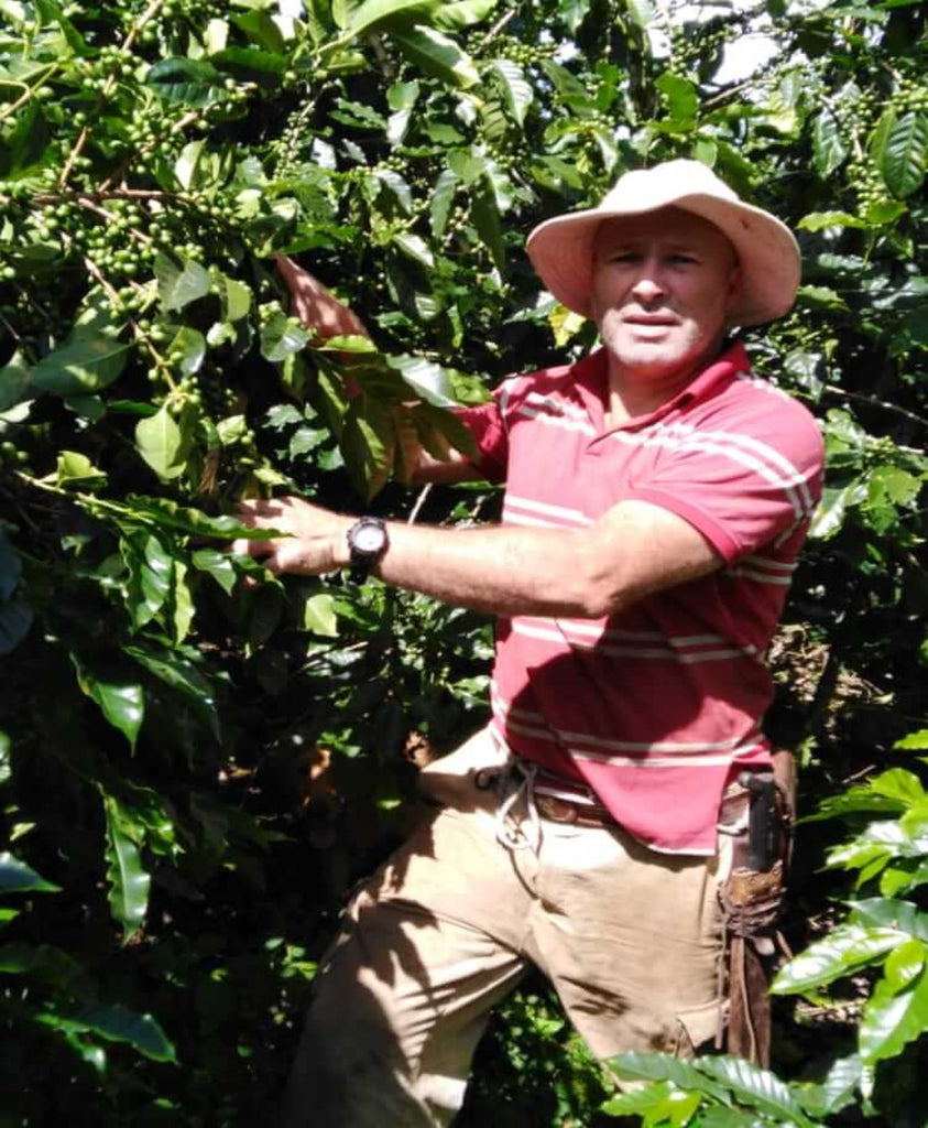 Costa Rica Casa de Piedra Filter– Passport Specialty Coffee Roaster