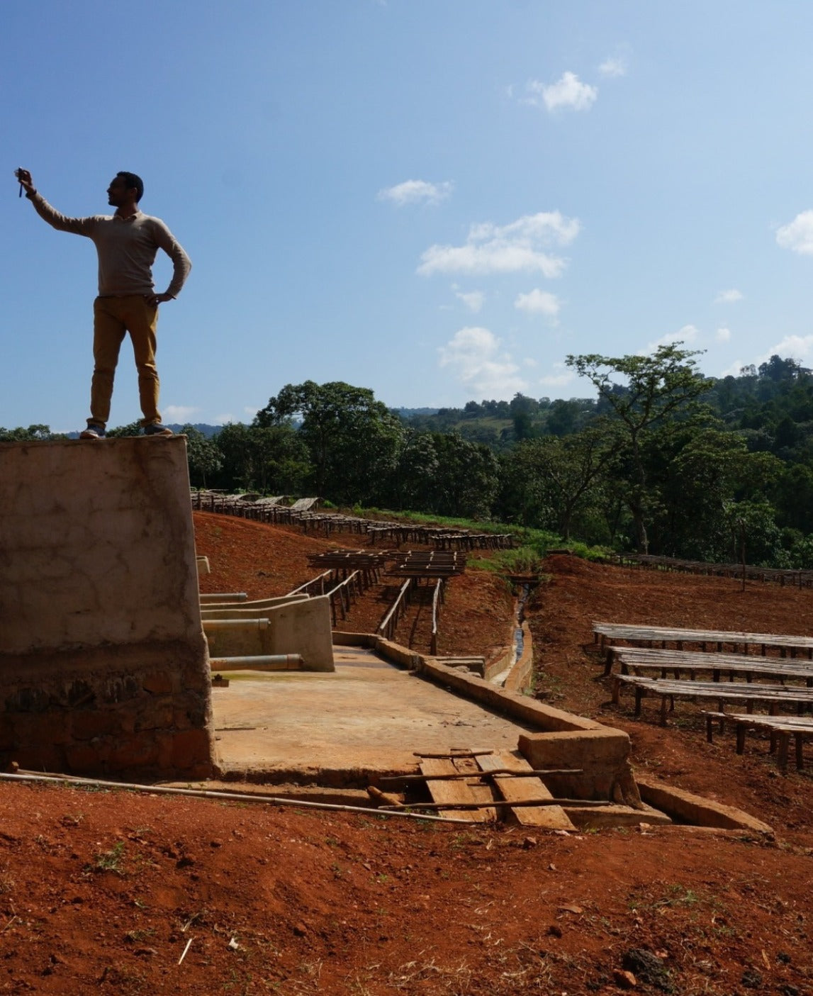 Ethiopia Hambella Espresso– Passport Specialty Coffee Roaster